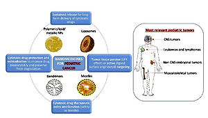 Nanomedicines in paediatric therapy: tribulations and the road ahead